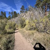 Cub Lake Trail, Colorado - 1,722 Reviews, Map | AllTrails