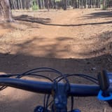 Fleming Meadow Trail 8, California - 233 Reviews, Map | AllTrails