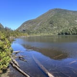 Mount Marshall via the Calamity Brook Trail, New York - 962 Reviews ...