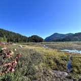 Mount Marshall via the Calamity Brook Trail, New York - 962 Reviews ...