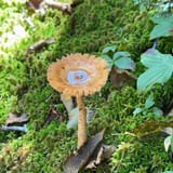 Mount Marshall via the Calamity Brook Trail, New York - 962 Reviews ...