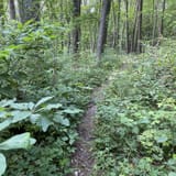 Deep Lake Trail, Michigan - 684 Reviews, Map | AllTrails