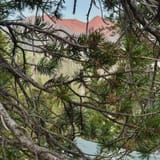 Rae Lakes Loop, California - 827 Reviews, Map | AllTrails