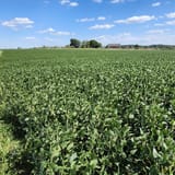 The Billy Yank Trail, Pennsylvania - 752 Reviews, Map | AllTrails