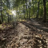 Neversink Loop Trail, Pennsylvania - 1,261 Reviews, Map | AllTrails