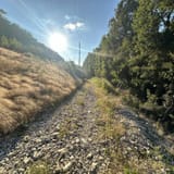 Neversink Loop Trail, Pennsylvania - 1,261 Reviews, Map | AllTrails