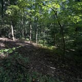Neversink Loop Trail, Pennsylvania - 1,261 Reviews, Map | AllTrails