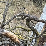 Painted Rocks Nature Trail, Washington - 770 Reviews, Map | AllTrails