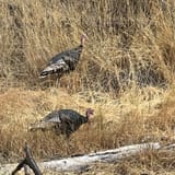 Painted Rocks Nature Trail, Washington - 770 Reviews, Map | AllTrails