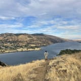 Rowena Plateau Trail, Oregon - 845 Reviews, Map | AllTrails