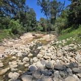 Spring Creek Nature Trail, Texas - 385 Reviews, Map | AllTrails