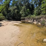 Spring Creek Nature Trail, Texas - 385 Reviews, Map | AllTrails