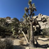 Hidden Valley, California - 6,000 Reviews, Map | AllTrails