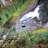 Racehorse Falls Trail, Washington - 433 Reviews, Map | AllTrails