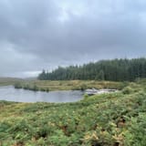 Lochan na h-Earba, Highlands, Scotland - 46 Reviews, Map | AllTrails