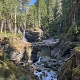 Silver Falls Loop, Washington - 4,013 Reviews, Map | AllTrails