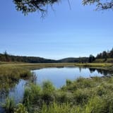 Fawn Lake Trail, New York - 274 Reviews, Map | AllTrails