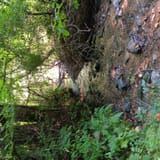 Prettyboy Reservoir Dam, Maryland - 742 Reviews, Map | AllTrails