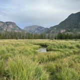 Adams Falls Trail, Colorado - 3,736 Reviews, Map | AllTrails
