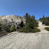 Welch-Dickey Loop Trail, New Hampshire - 7,924 Reviews, Map | AllTrails