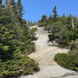 Welch-Dickey Loop Trail, New Hampshire - 7,924 Reviews, Map | AllTrails