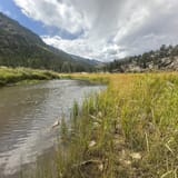 Cub Lake Loop, Colorado - 2,306 Reviews, Map | AllTrails