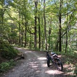 Hard Times Loop, North Carolina - 1,640 Reviews, Map | AllTrails
