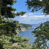 Middle Head Trail, Nova Scotia, Canada - 1,798 Reviews, Map | AllTrails