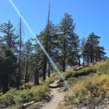 Tahoe Rim Trail to Picnic Rock Viewpoint, California - 3,740 Reviews, Map | AllTrails