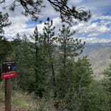 Beaver Brook Trail, Colorado - 1,519 Reviews, Map | AllTrails