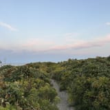 Black Point Trail, Rhode Island - 840 Reviews, Map | AllTrails