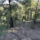 Atalaya Mountain Trail, New Mexico - 2,966 Reviews, Map | AllTrails