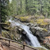 Silver Falls Loop, Washington - 4,013 Reviews, Map | AllTrails