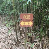 Judd Trail, Oahu, Hawaii - 2,959 Reviews, Map | AllTrails