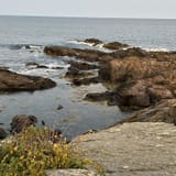 Marginal Way, Maine - 1,832 Reviews, Map | AllTrails