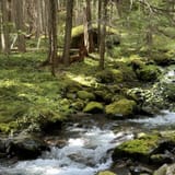 Royal Basin and Royal Lake, Washington - 759 Reviews, Map | AllTrails