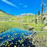 Cub Lake Loop, Colorado - 2,306 Reviews, Map | AllTrails