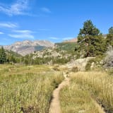 Cub Lake Loop, Colorado - 2,306 Reviews, Map | AllTrails