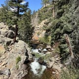 Cub Lake Loop, Colorado - 2,306 Reviews, Map | AllTrails