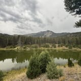 Beaver Ponds Loop Trail, Montana - 1,572 Reviews, Map | AllTrails