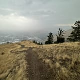 The "M" Trail, Montana - 1,799 Reviews, Map | AllTrails