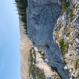 Grotto Mountain Trail, Alberta, Canada - 1,293 Reviews, Map | AllTrails