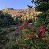 Mount Marshall via the Calamity Brook Trail, New York - 962 Reviews ...