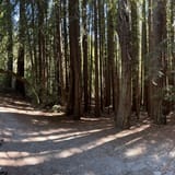 Bootjack Loop, California - 2,014 Reviews, Map | AllTrails