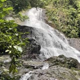 Mount Nuang via Janda Baik, Pahang, Malaysia - 104 Reviews, Map | AllTrails