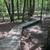 Harris Lake Peninsula Trail, North Carolina - 2,067 Reviews, Map ...