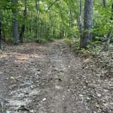 Copple Crown Mountain, New Hampshire - 574 Reviews, Map | AllTrails