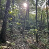 Copple Crown Mountain, New Hampshire - 574 Reviews, Map | AllTrails