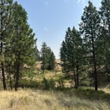 Hog Lake Loop, Washington - 264 Reviews, Map | AllTrails