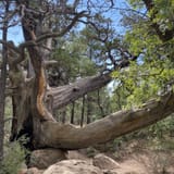 Fatmans Loop Trail, Arizona - 5,937 Reviews, Map | AllTrails